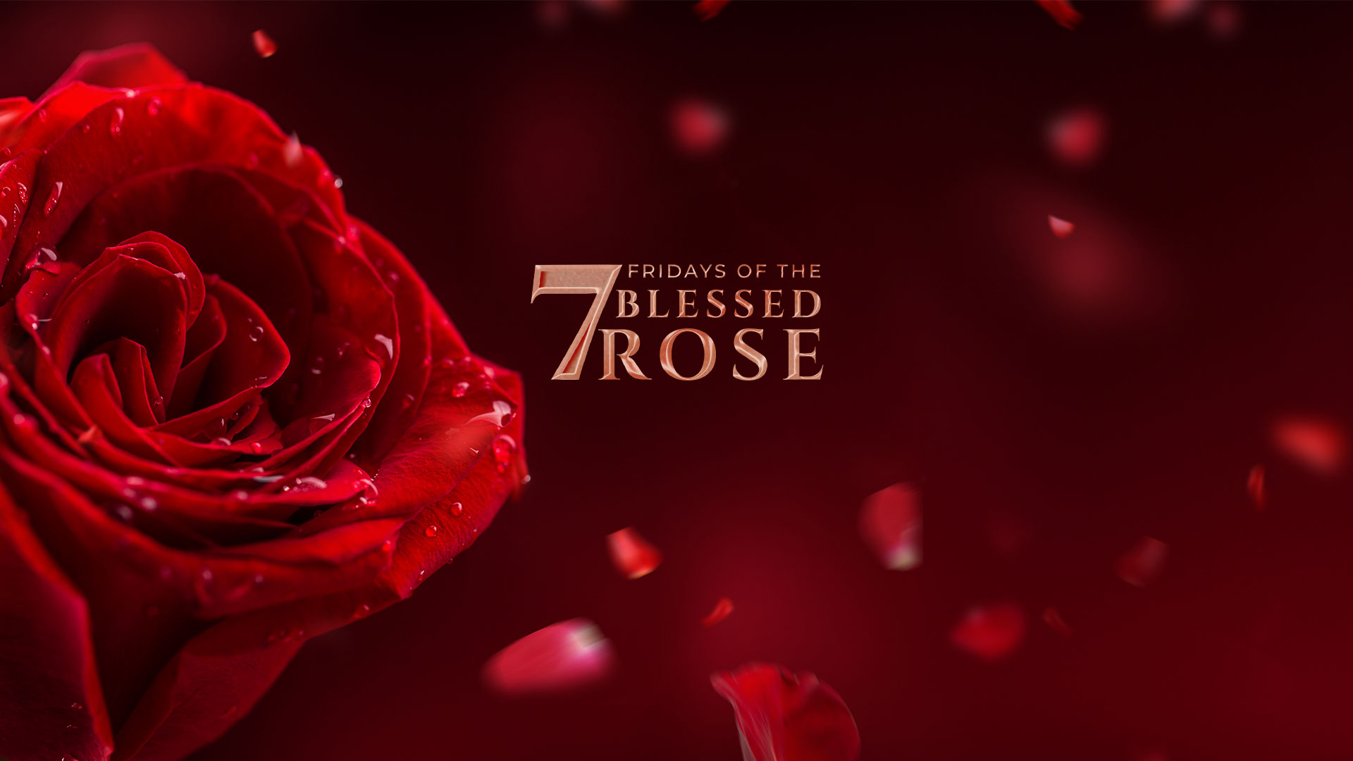 7 Fridays of the Blessed Rose at the Spiritual Cleansing meeting